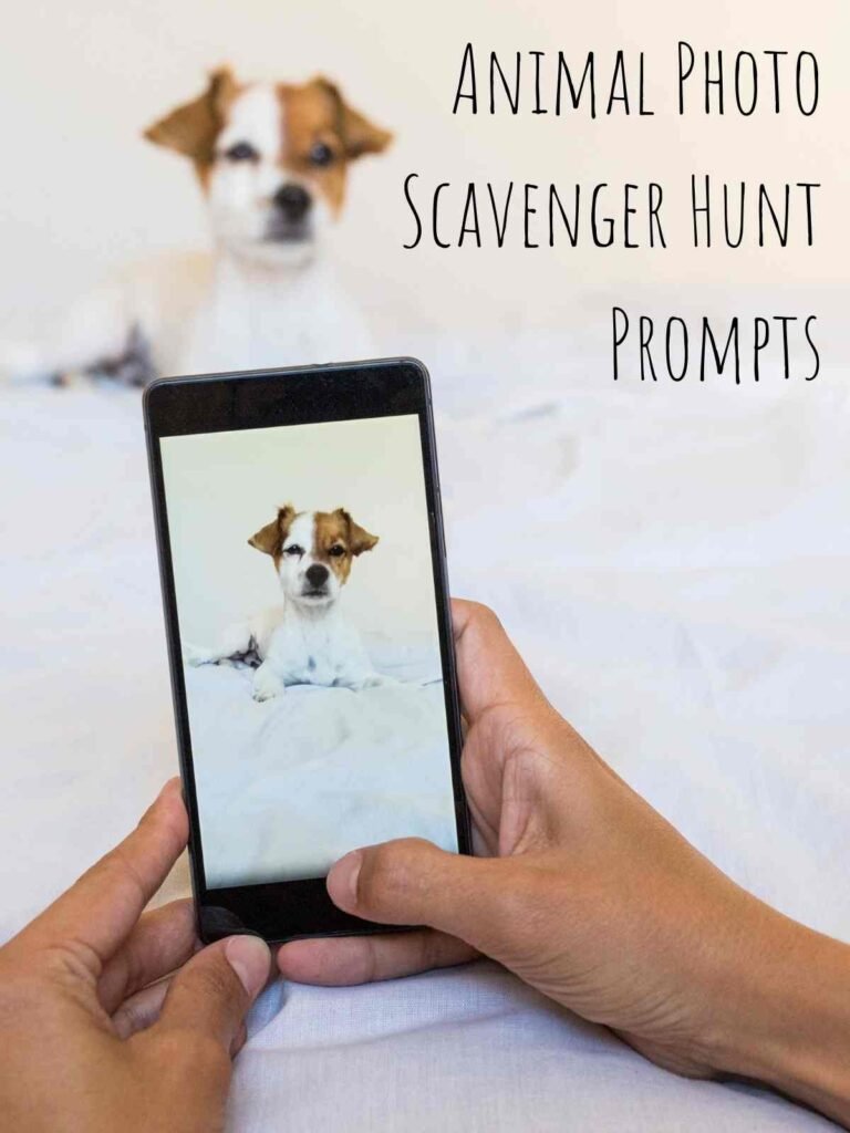 63 FUN Photo Scavenger Hunt Prompts - Fun Party Pop