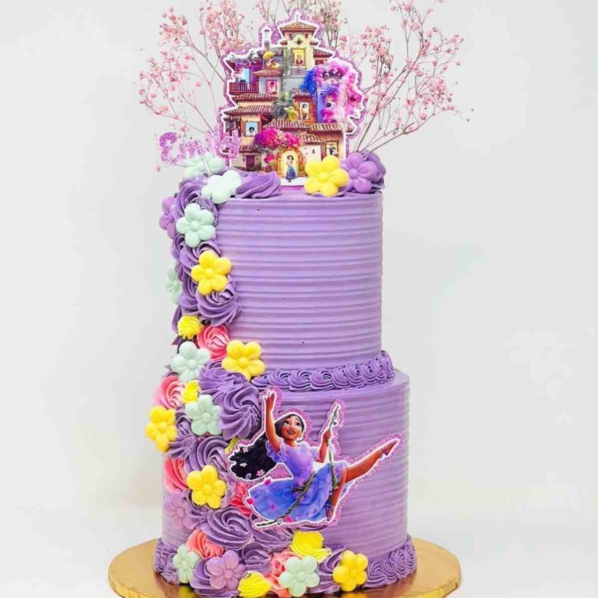 113 Enchanting Encanto Cake Ideas Fun Party Pop