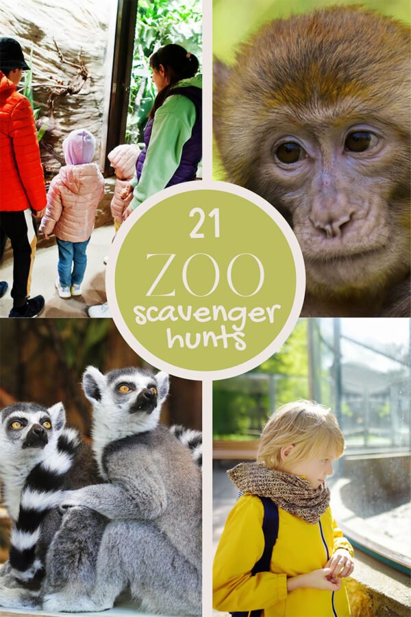 21 Zoo Scavenger Hunt Printable Ideas